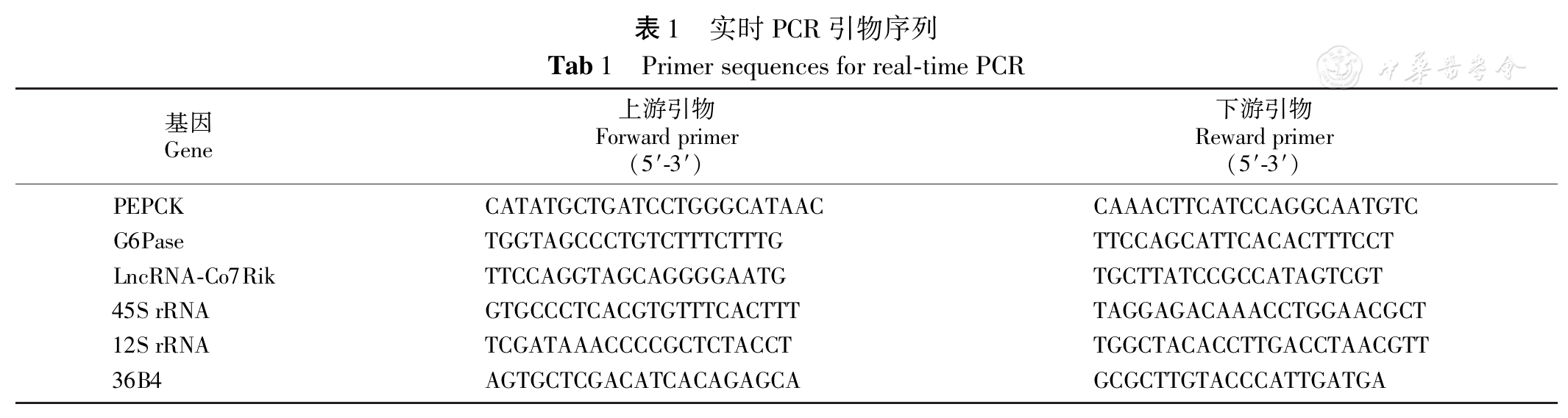 长链非编码RNA-Co7Rik的表达特征及其对糖异生的影响